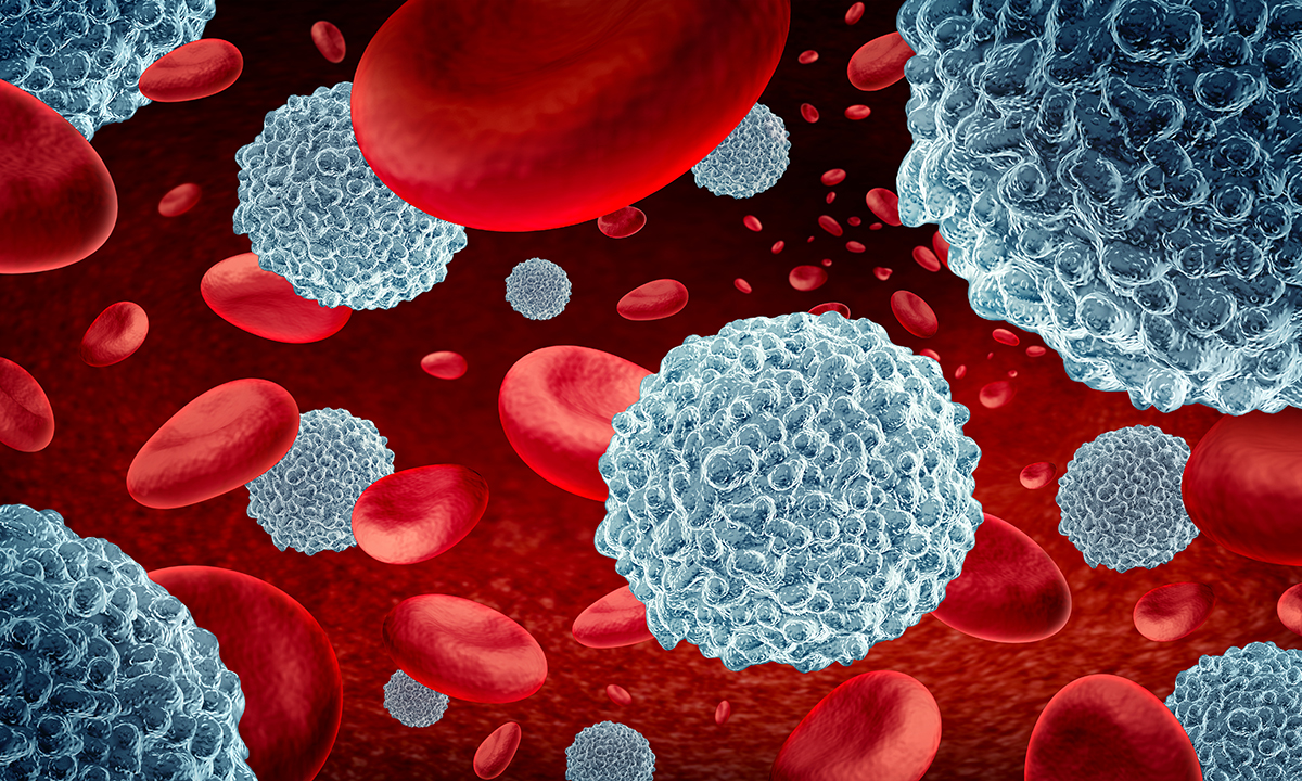 Leucociti - SapereSalute