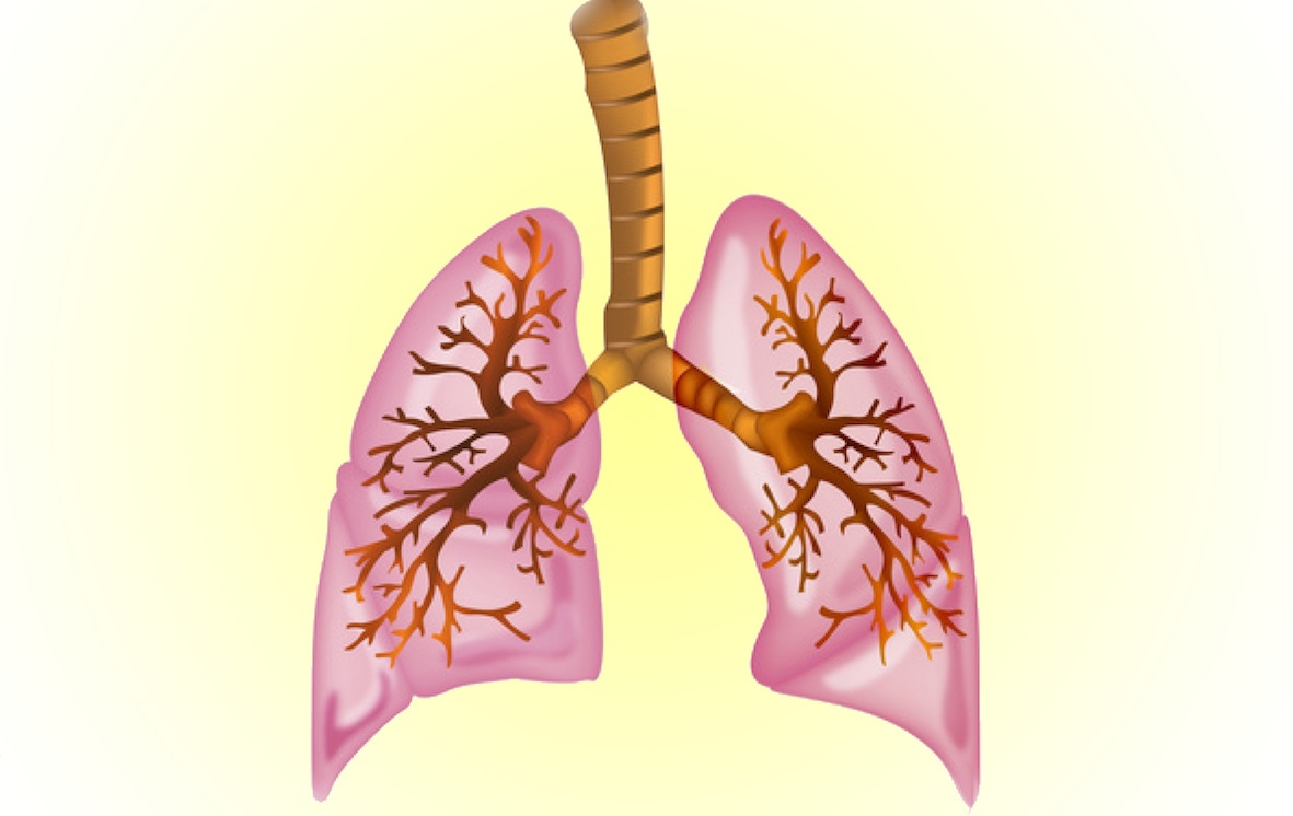 Il muco bronchiale: che cos’è e a che cosa serve - SapereSalute