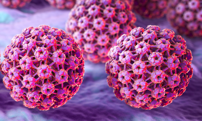Dieci cose da sapere sul Papilloma virus - SapereSalute